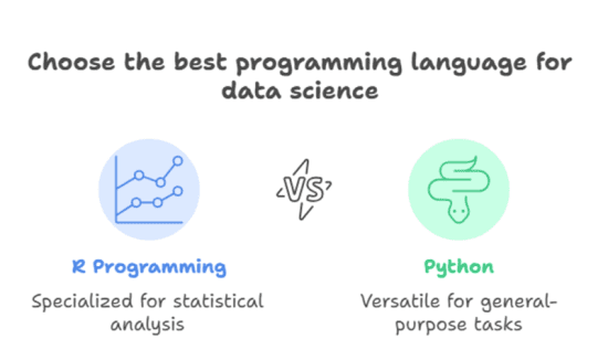 R Programming vs Python: Key Differences Explained