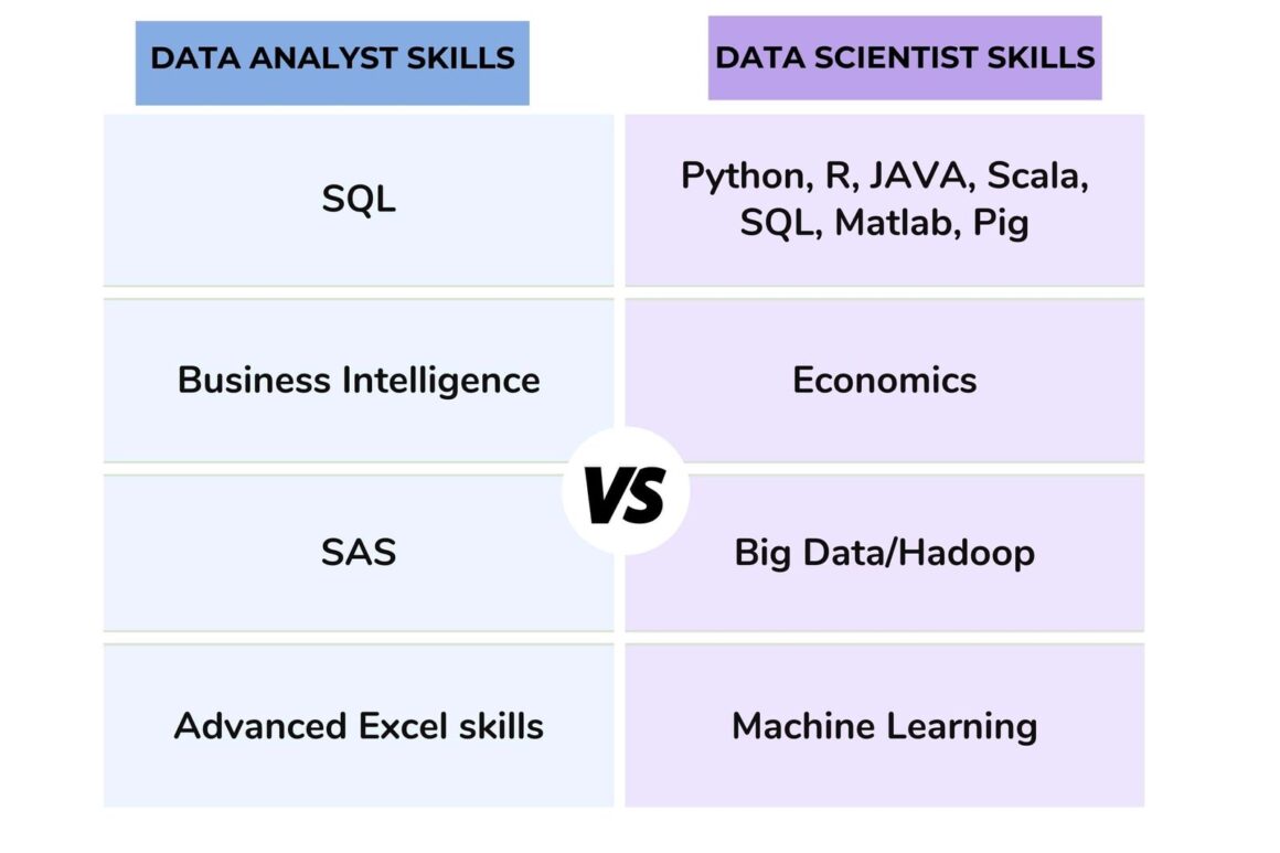 Data Analyst vs Data Scientist: What's the Difference?