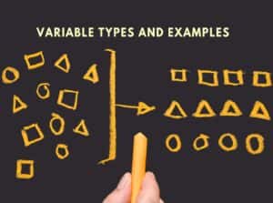 Types of Variables in Statistics with Examples- Pickl.AI