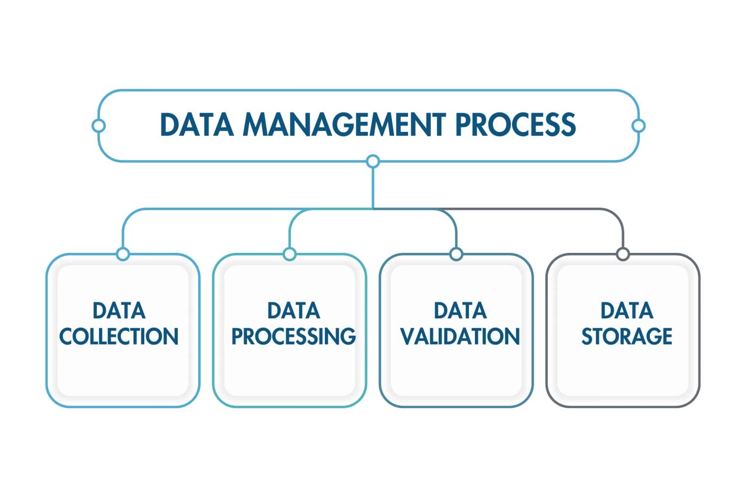 What is Data Management? A Complete guide