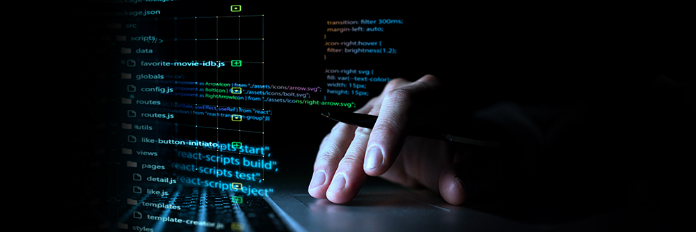 Best Ways to Learn Python from Scratch: Free and Paid Options