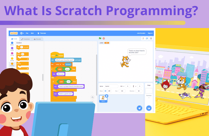 What Is Scratch Programming Meaning Working And Applications