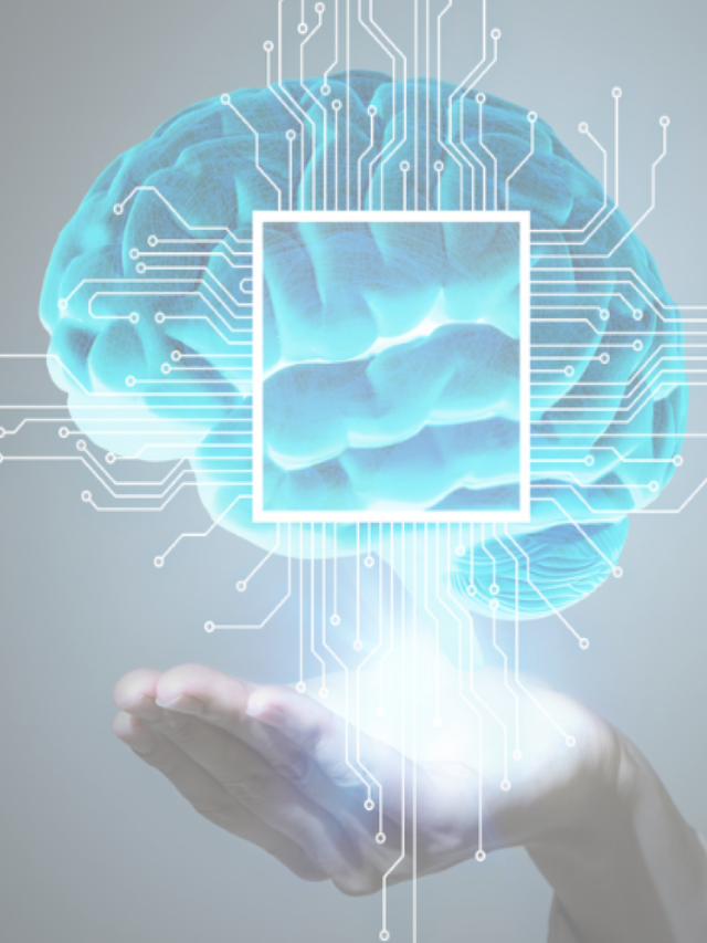 Top Data Science Skills Mastering The Essentials For Success Picklai 