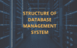 Structure of Database Management System