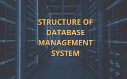 Structure of Database Management System