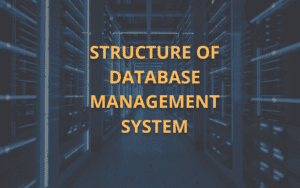Structure of Database Management System