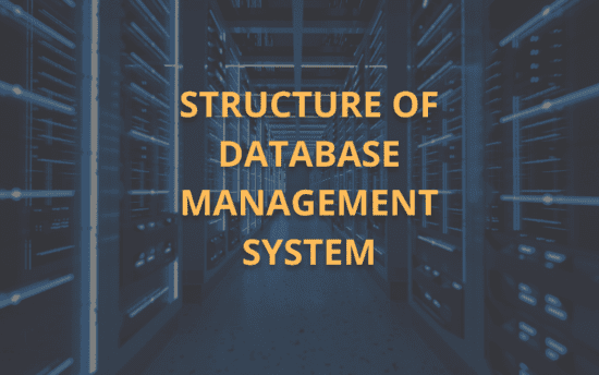 Structure of Database Management System