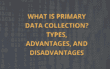 What is Primary Data Collection?
