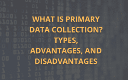 What is Primary Data Collection?