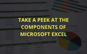 The Components of Microsoft Excel