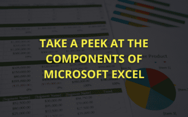 The Components of Microsoft Excel