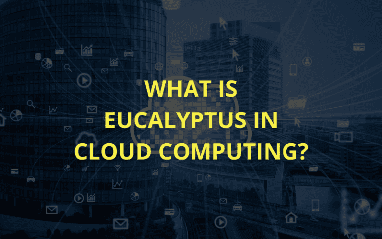 Eucalyptus in Cloud Computing