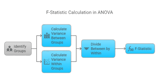 ANOVA in Statistics: Formula, Assumptions, and Examples