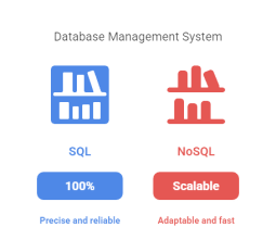 SQL vs NoSQL: Key Differences You Should Know